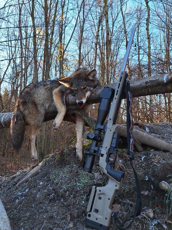 Out with the .243 | Predator Masters