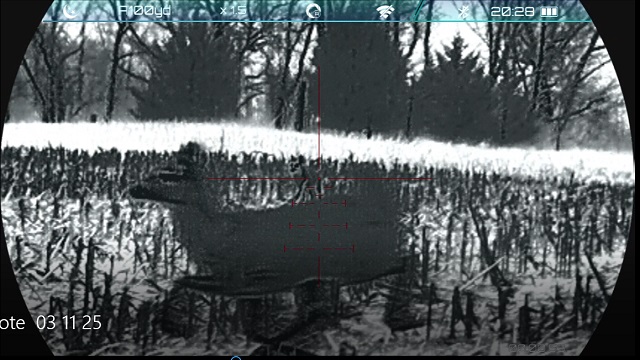 Messed up a deer hunt | Predator Masters