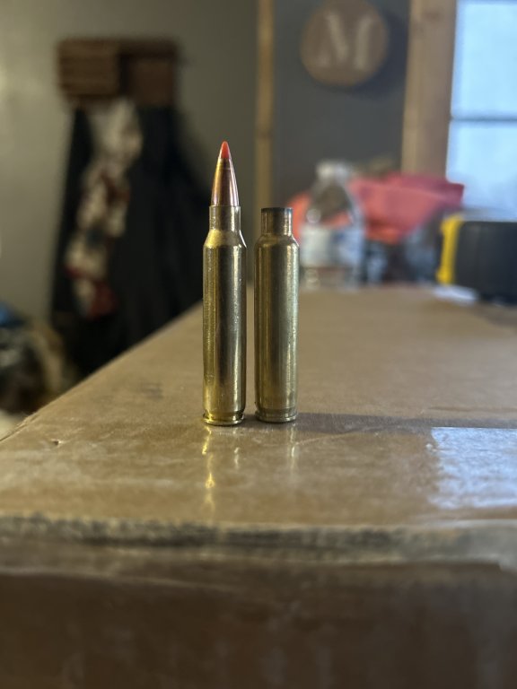 20-223AI | Predator Masters