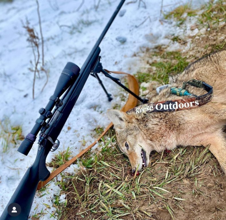 20-223AI | Predator Masters