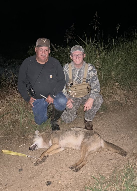 Old corn field dog | Predator Masters