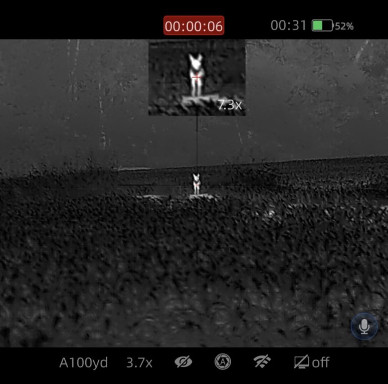 Old corn field dog | Predator Masters