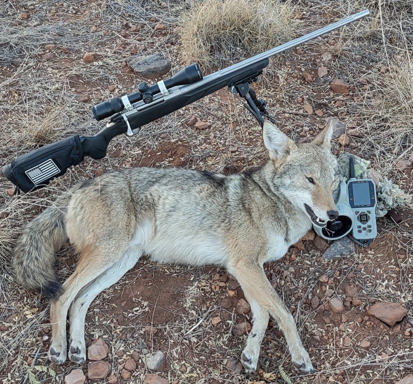 Two from this weekend | Predator Masters
