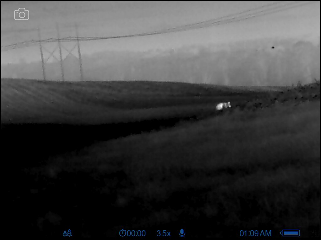 Thermal Bear | Predator Masters