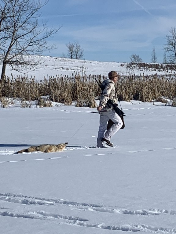 Big coyote tournament in Alberta | Predator Masters