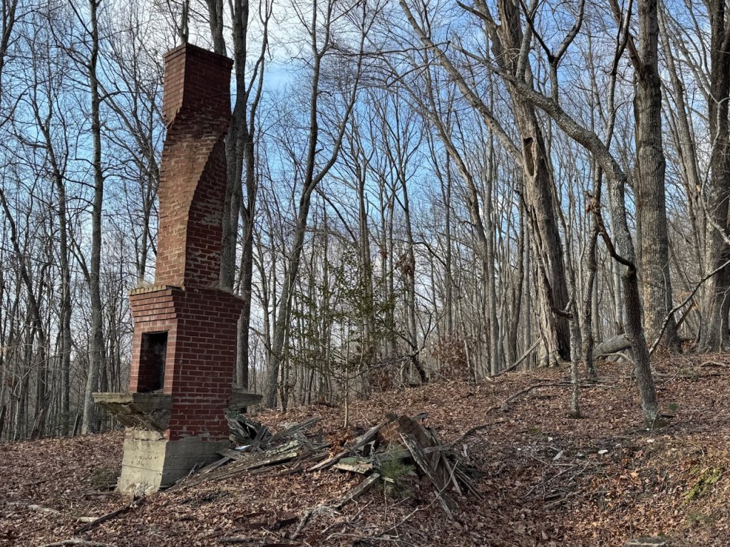 Your Pic of the Day | Page 57 | Predator Masters