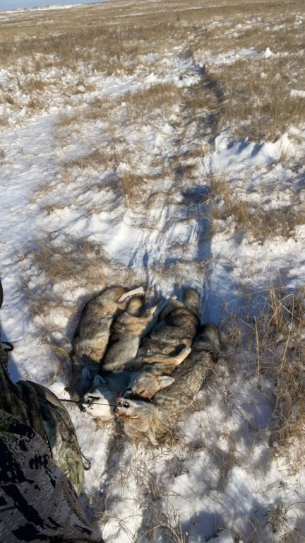 Gotta make it home before the turkeys done | Predator Masters