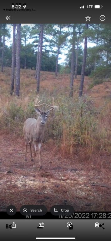 Let’em go…let’em grow | Predator Masters