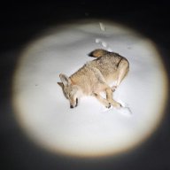 Rogers sporting goods | Predator Masters