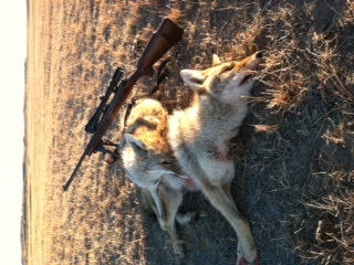 Firearms | Predator Masters